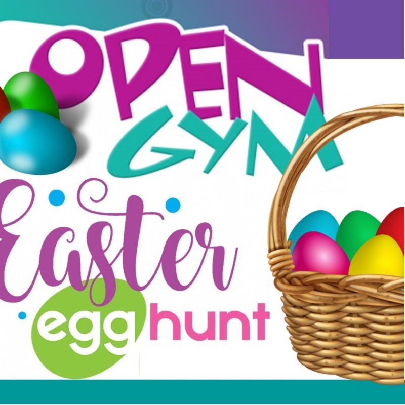 Paragon Gymnastics Fredericksburg at Carmina Cox blog